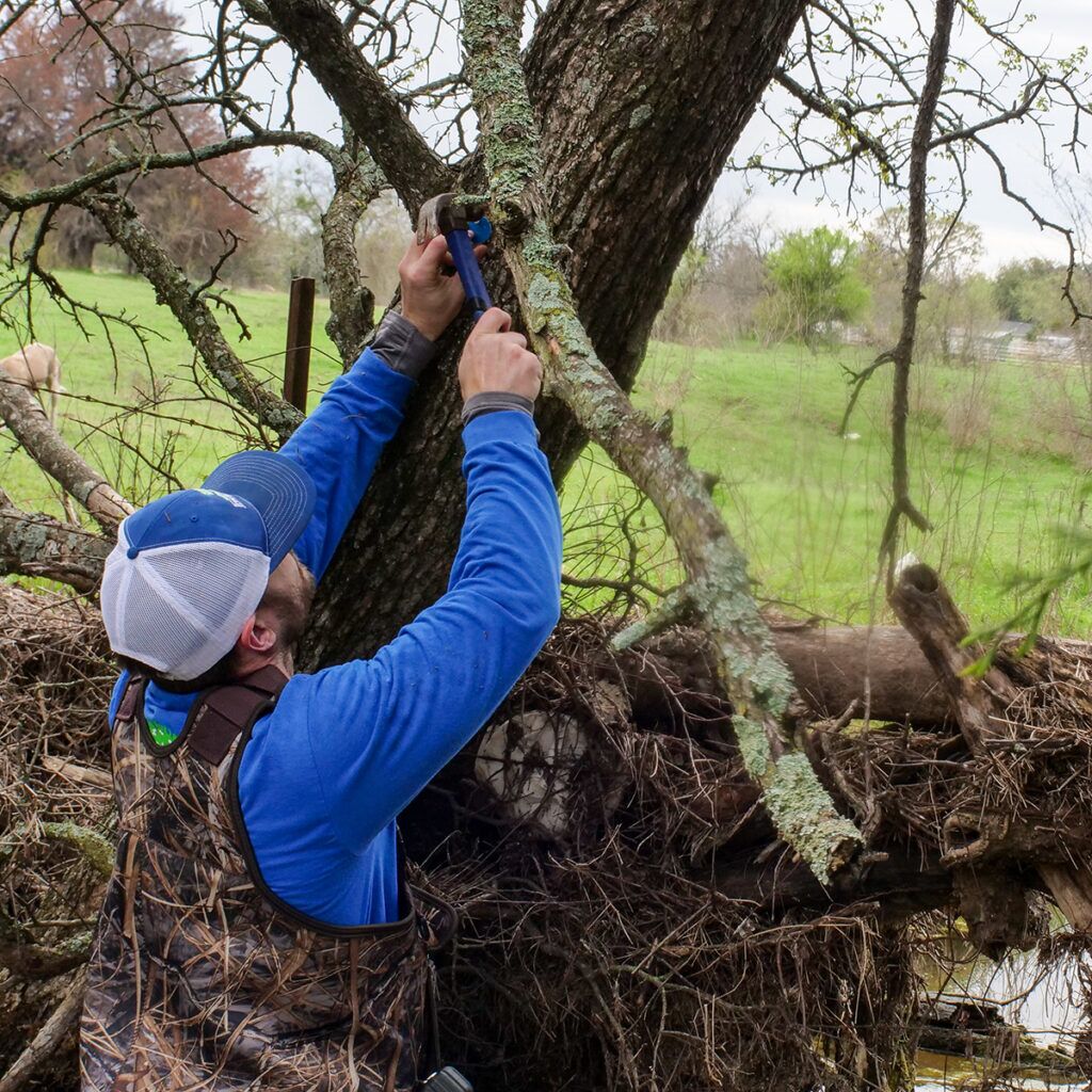 western tree surgeons